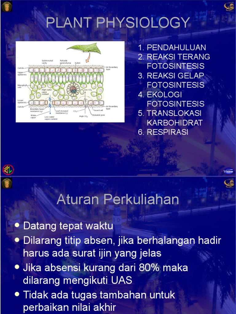 Lect1 Introduction | PDF | Chloroplast | Cell (Biology)