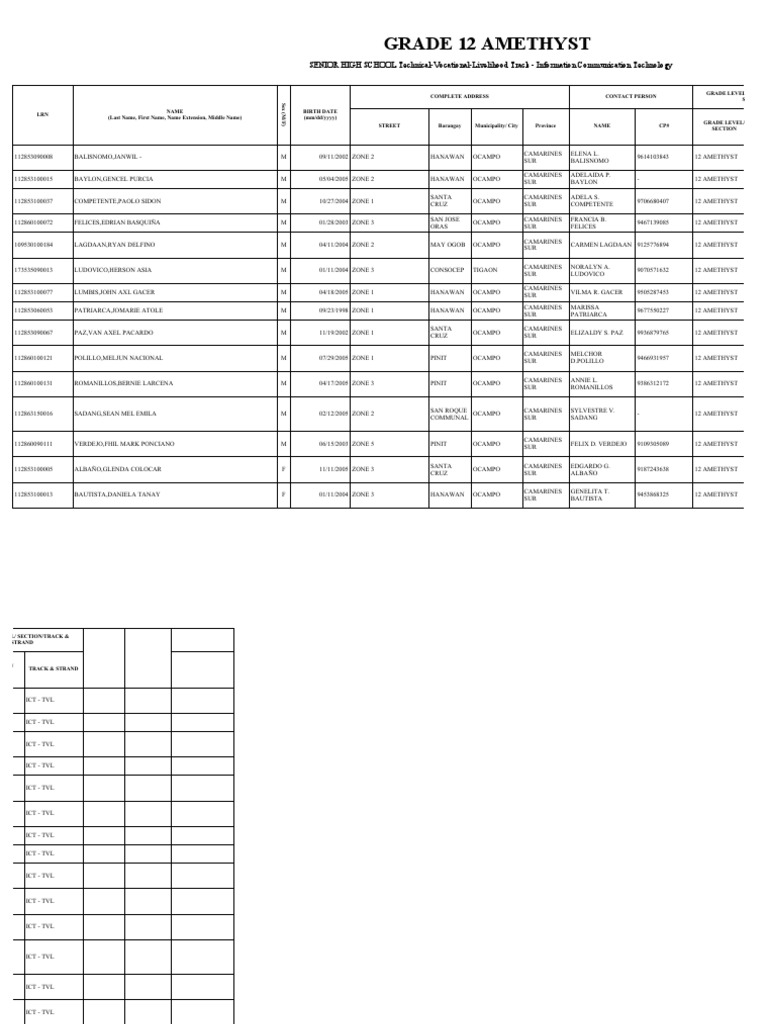 Id Grade 12 Ict Amethyst | PDF