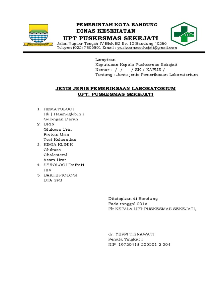 Lampiran Pemeriksaan Lab | PDF