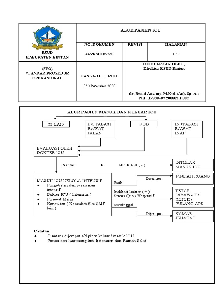 Spo Alur Pasien Icu | PDF