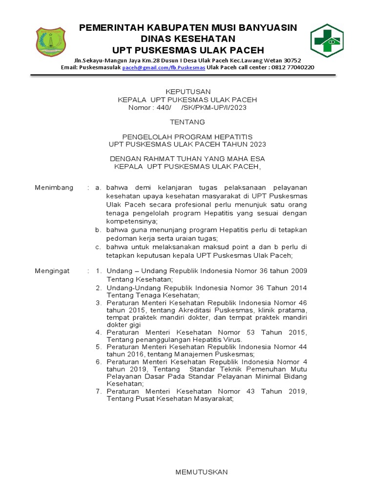 27.SK Program Hepatitis | PDF