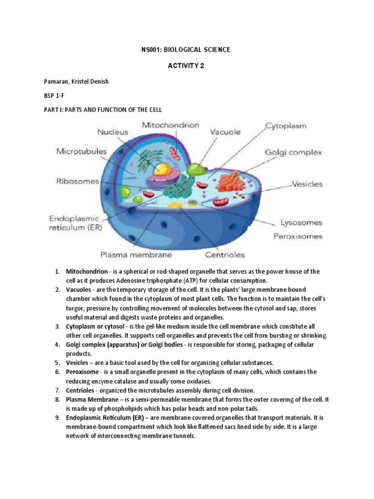 Act2 Bio Sci | PDF | Cell (Biology) | Cell Membrane