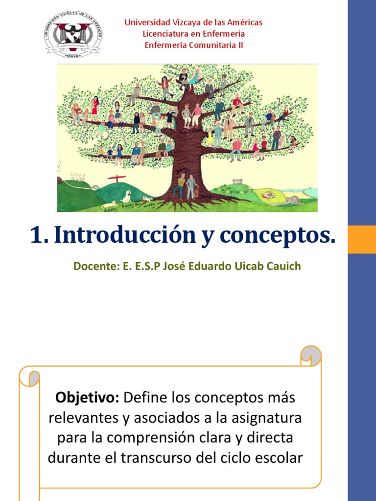 1 Introducción Y Conceptos Pdf Salud Pública Cuidado De La Salud 9064