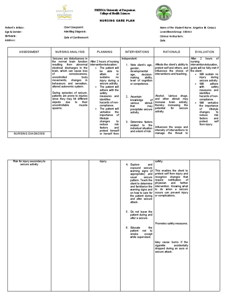 NCP Active Seizure | PDF | Nursing | Injury