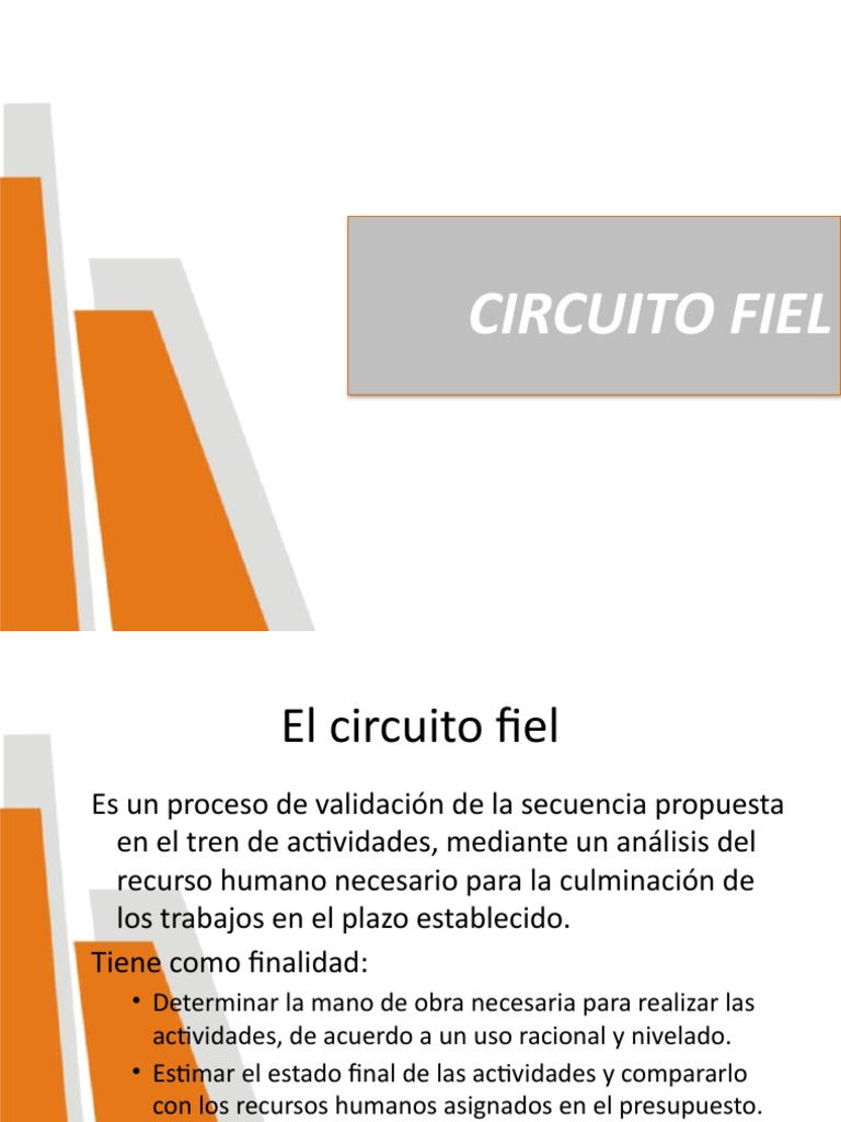 Circuito Fiel | PDF | Finanzas y dinero