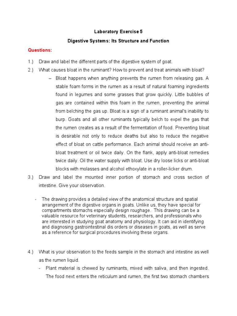 Answer-Goat and Sheep Lab2 | PDF | Ruminant | Digestion