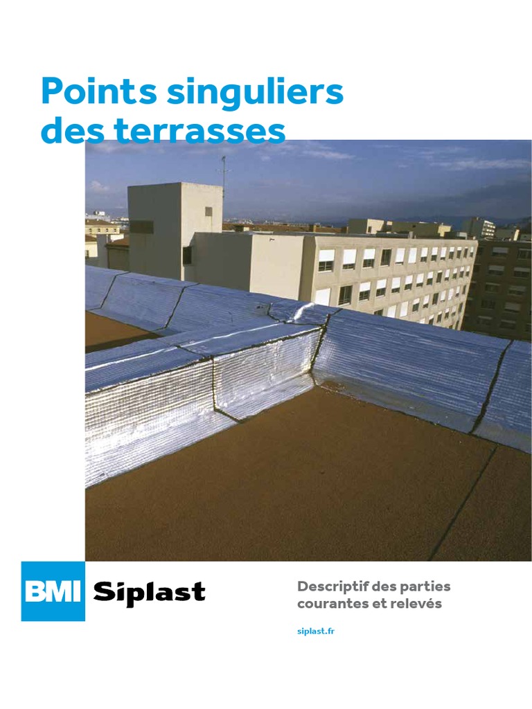 Points Singuliers Des Terrasses | PDF