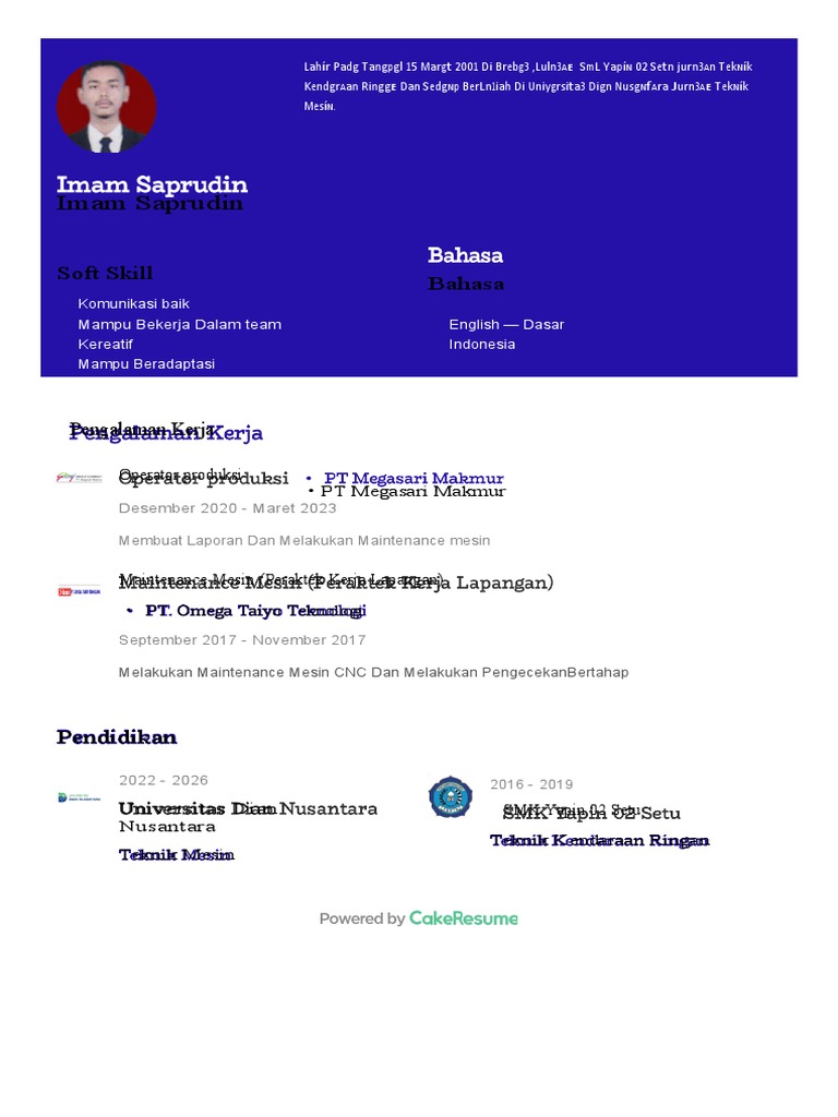 Imam Saprudin CV Kerja | PDF | Bisnis | Komputer
