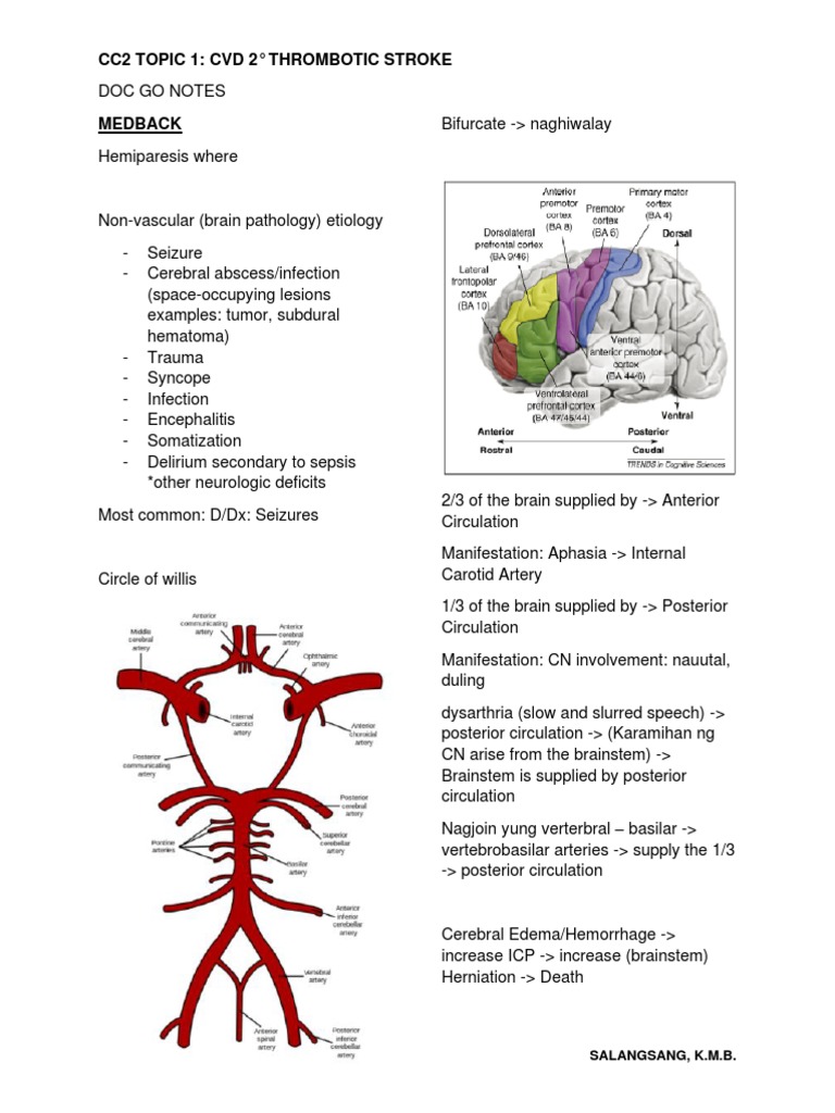 Understanding the Pathophysiology, Diagnosis, and Management of Thrombotic Stroke | PDF | Stroke ...