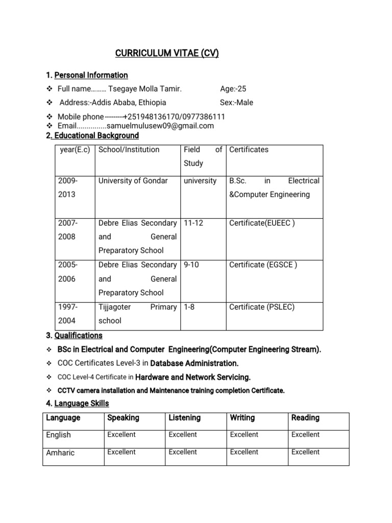 CV Tsegaye Molla | PDF | Computing | Software Engineering