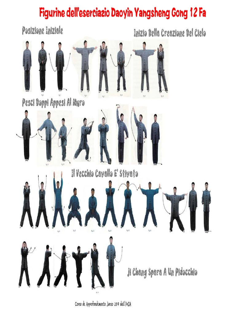 Daoyin Yangsheng Gong 12 Fa - IHQA | PDF