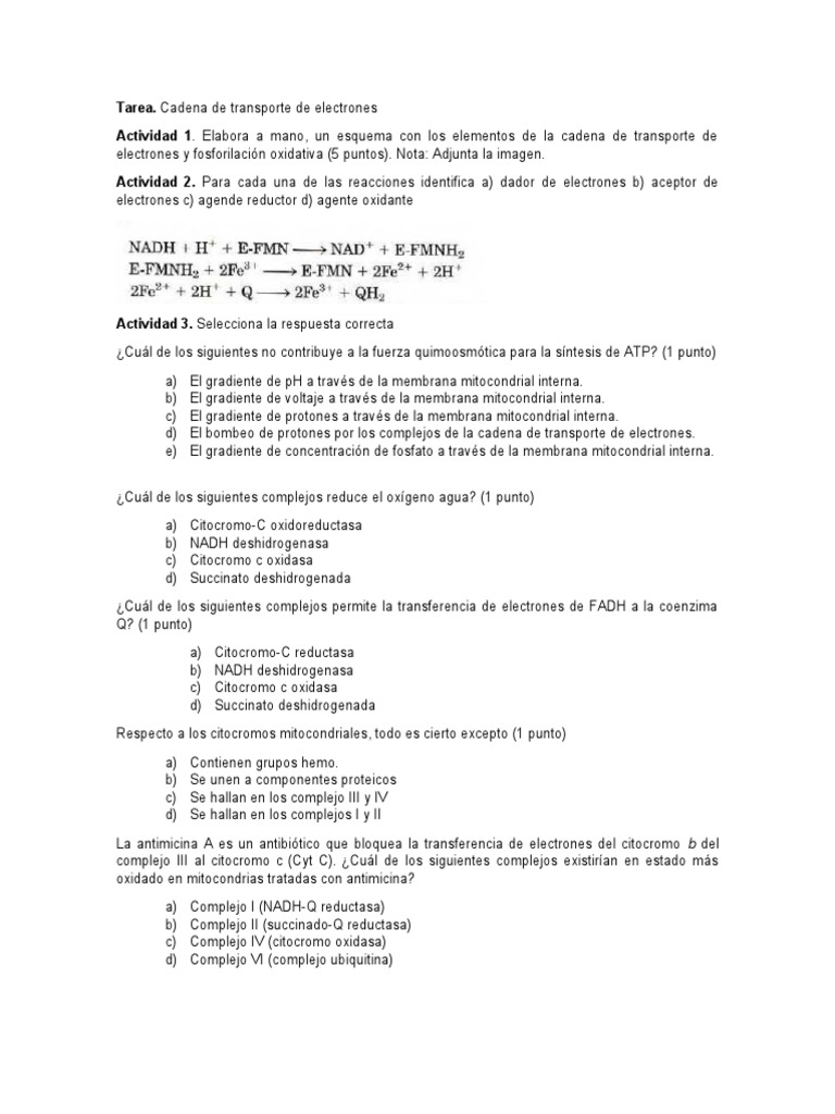 Tarea 1. Cadena de Transporte de Electrones | PDF | Cadena de transporte de electrones ...