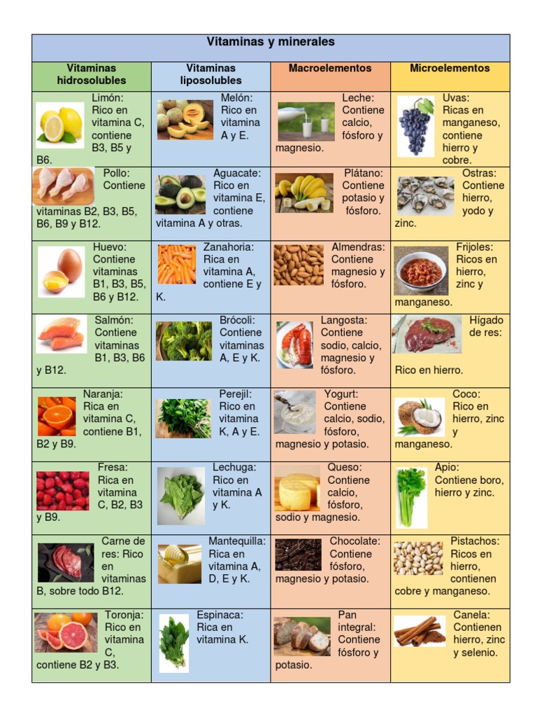 Vitaminas y Minerales | PDF | Vitamina | Nutrición