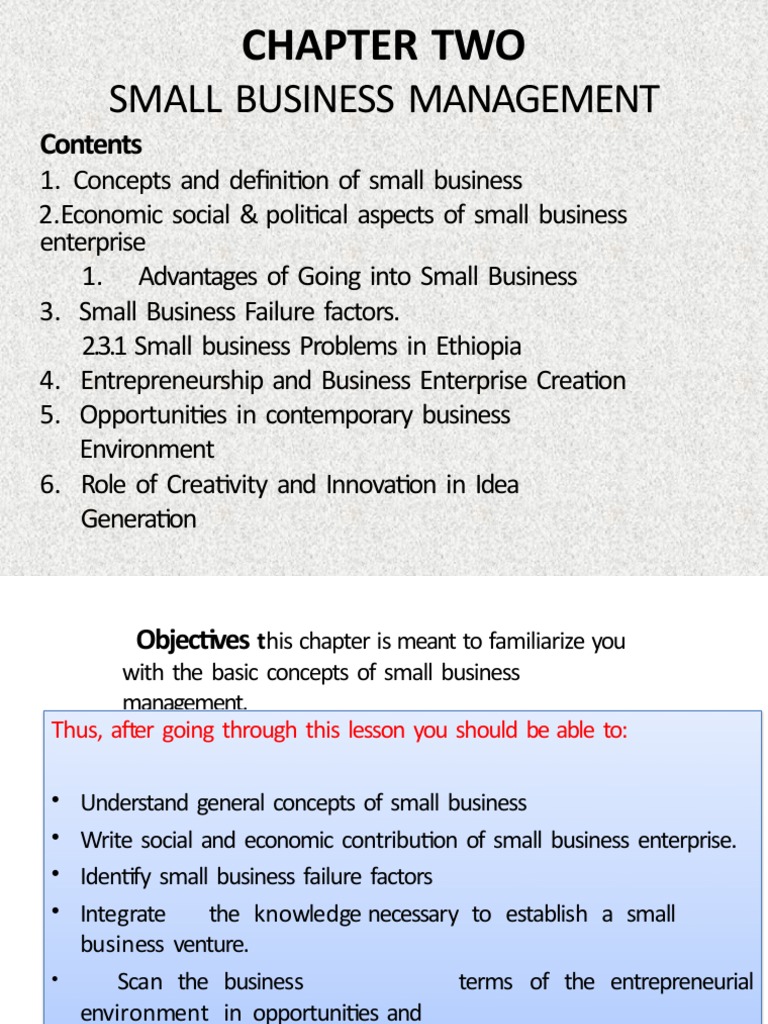 Small Business Management Guide | PDF | Entrepreneurship | Small Business