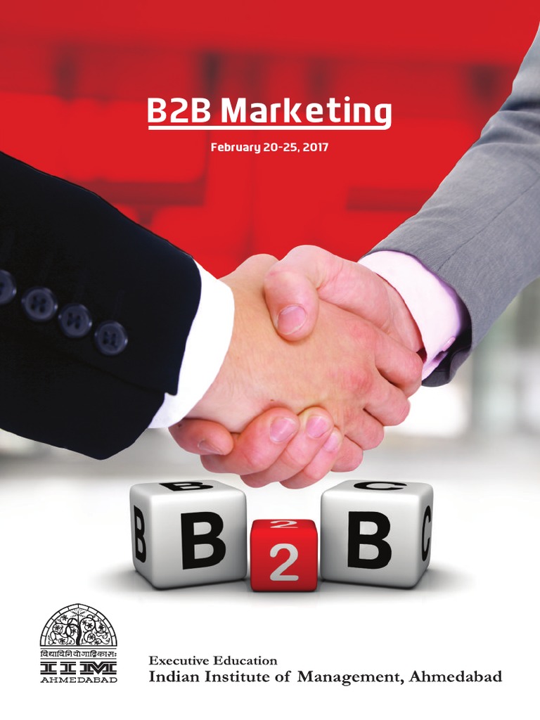 B2B Marketing Brochure - 2017 | PDF | Marketing | Marketing Strategy