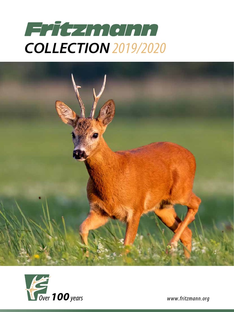 Fritzmann Katalog 2019 20 en PDF | PDF | Telescopic Sight | Tools