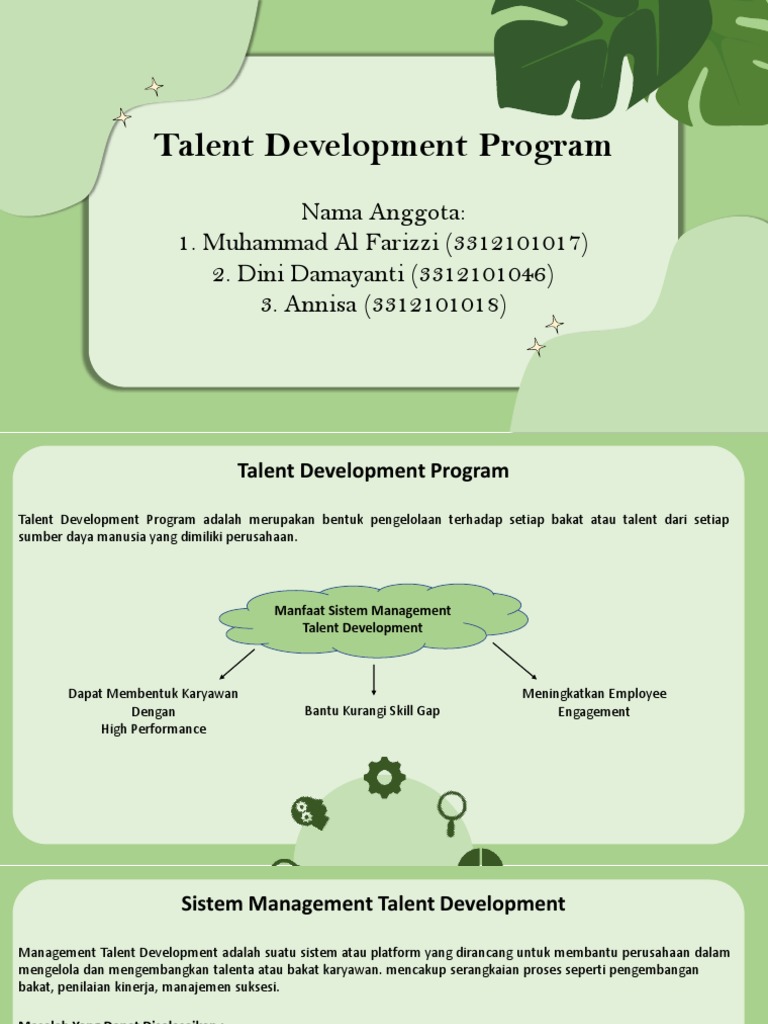 Talent Development Program PDF | PDF