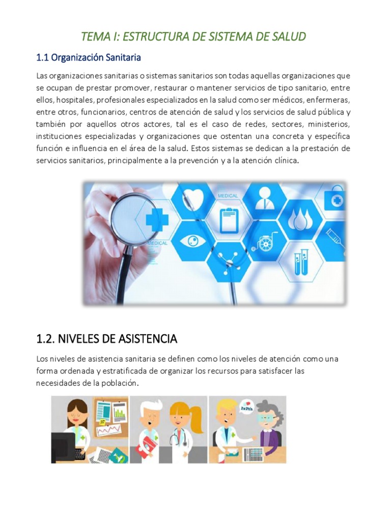 Unidad 1 Estructura Del Sistema de Salud | PDF | Enfermería | Hospital