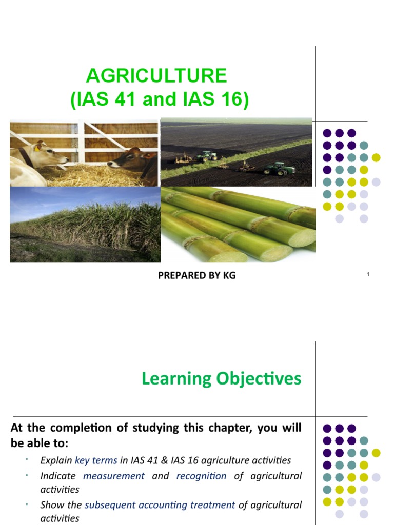 Ias 41 | PDF | Fair Value | Cost