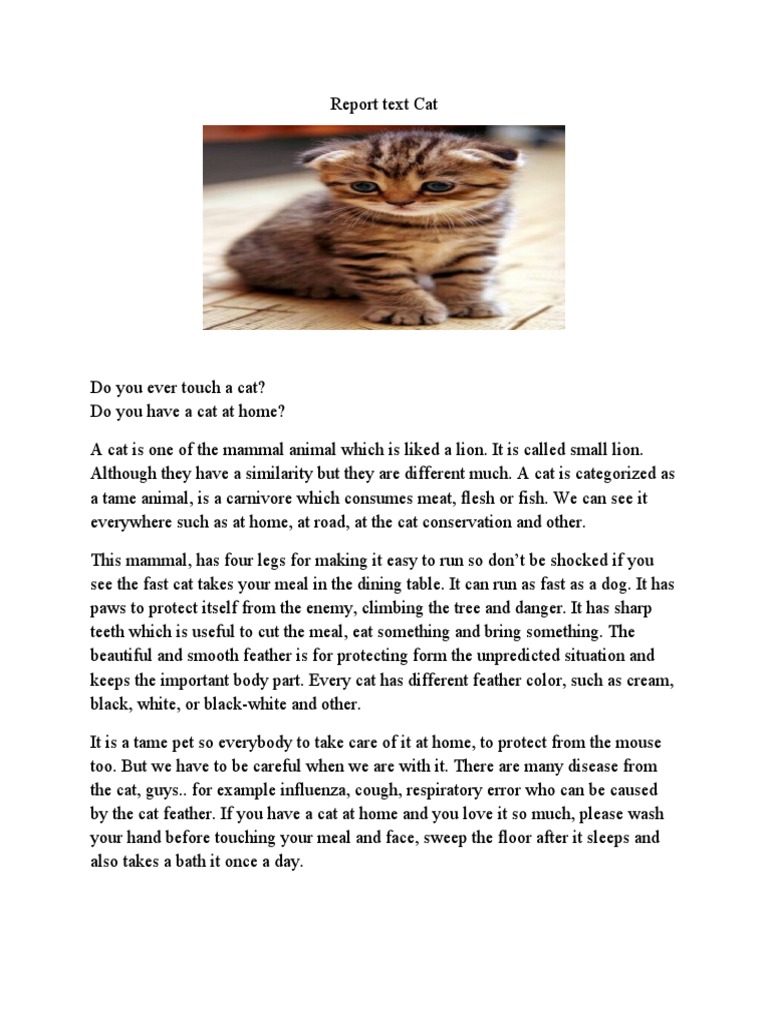 Report Text Cat | PDF | Cats | Mammals