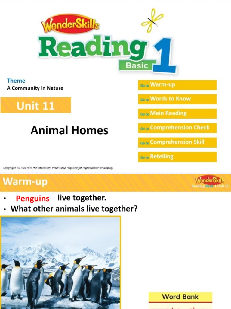 Basic 1 Unit 11 Animal Homes | PDF