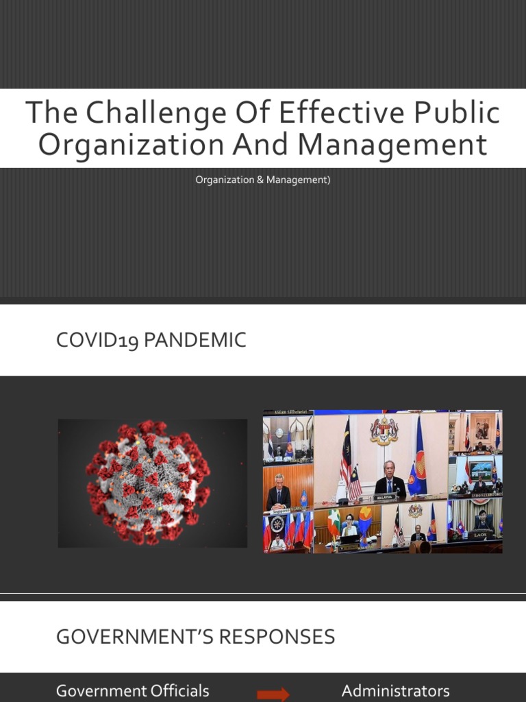 The Challenge of Effective Public Organization and Management | PDF ...