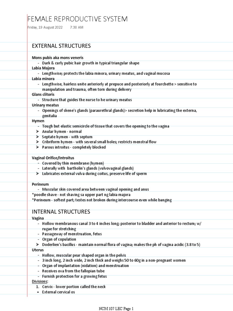 Female Reproductive System | PDF | Vagina | Labia