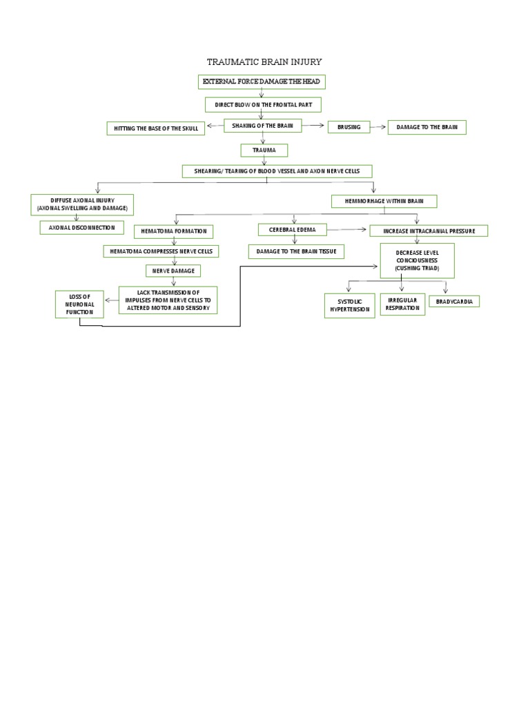 Traumatic Brain Injury Pathophysiology | PDF