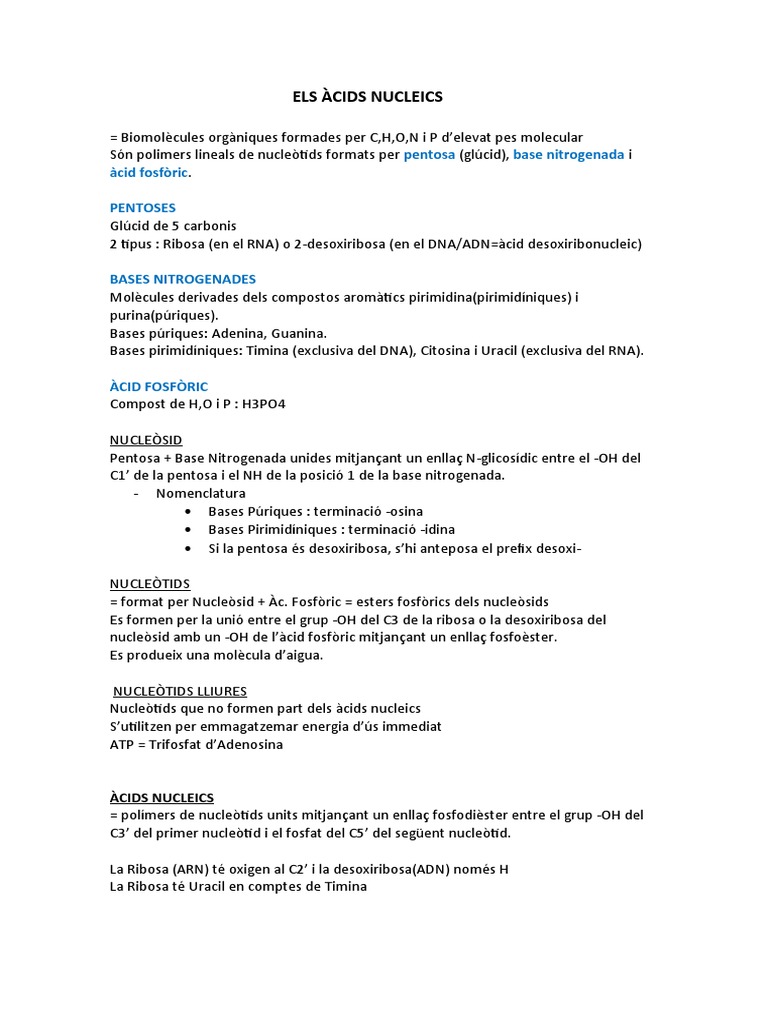 Àcids Nucleics | PDF
