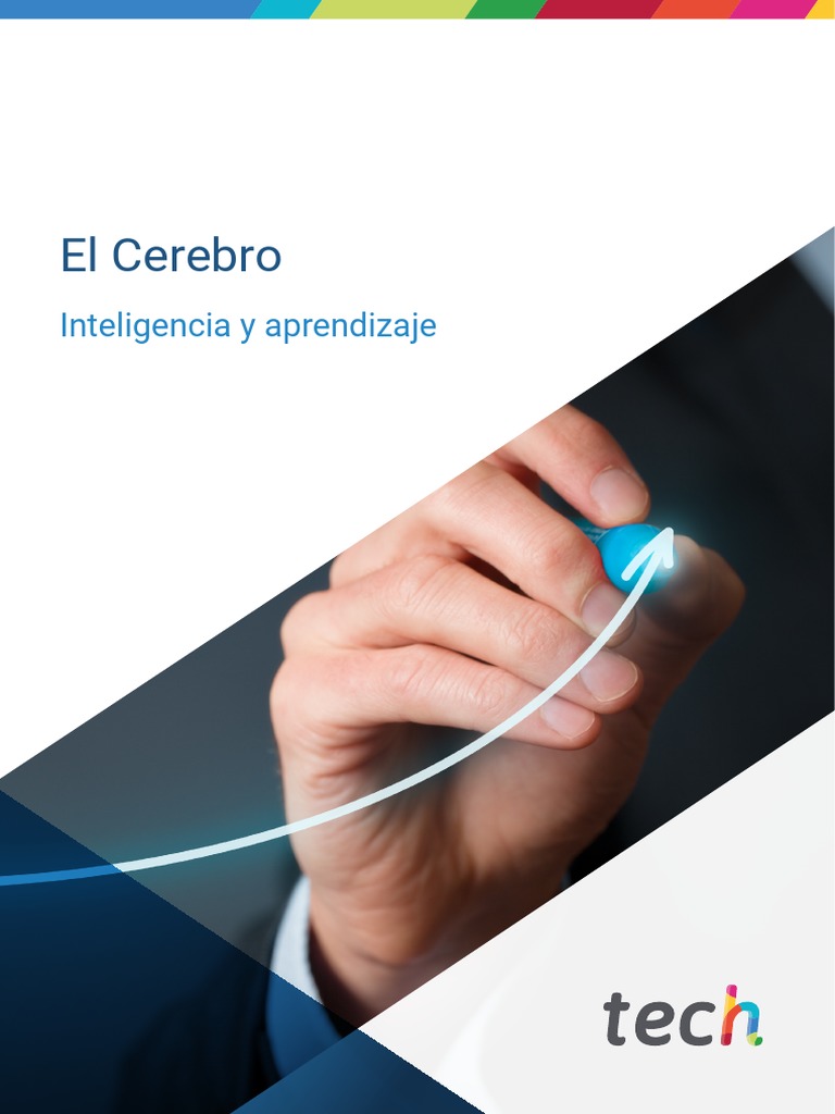 Estructuras y funciones del neocórtex | PDF | Cerebro | Neurona