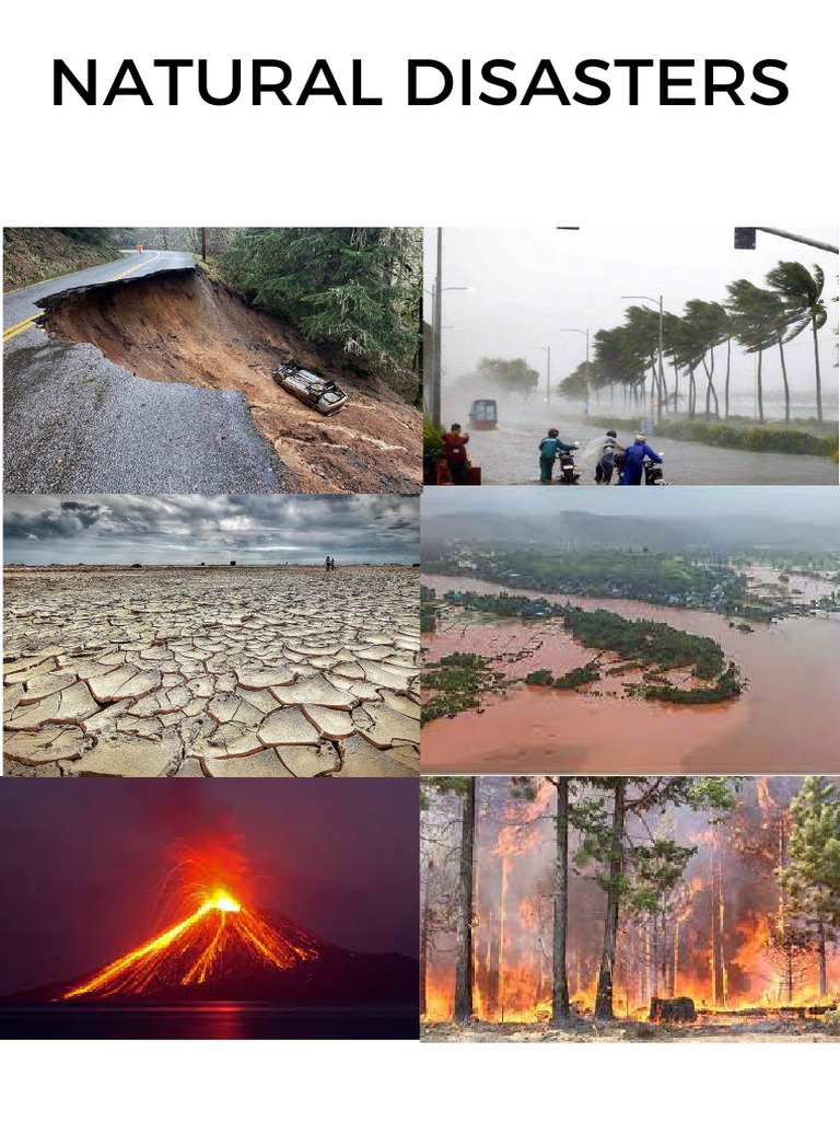 Natural Disasters PDF | PDF