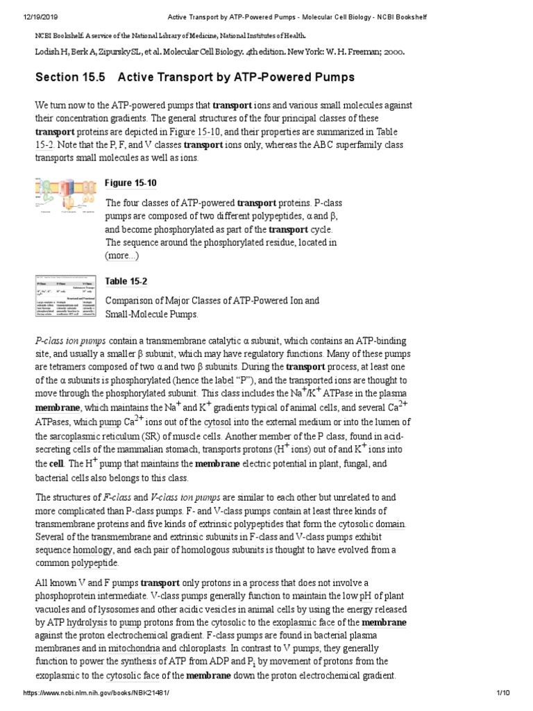 Active Transport by ATP-Powered Pumps - Molecular Cell Biology - NCBI ...
