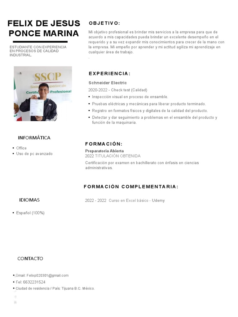 CV - Felix Ponce Curriculum | PDF