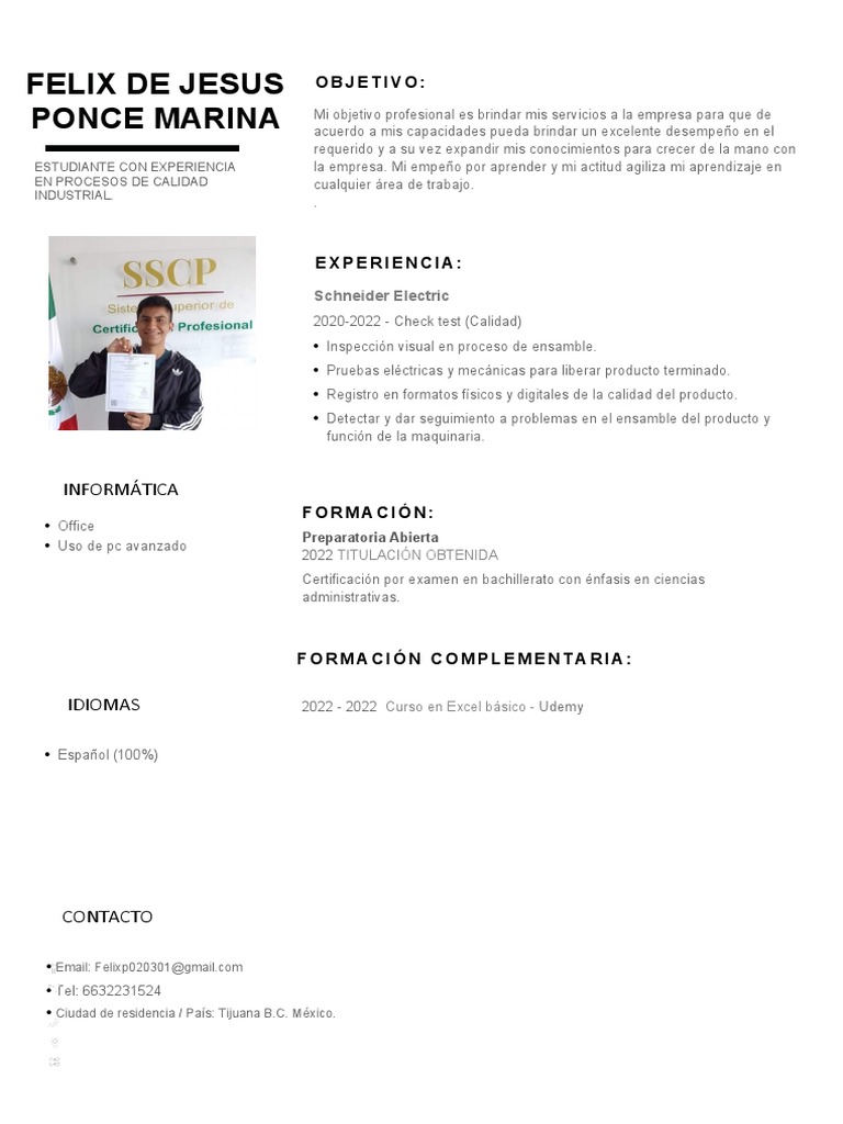 CV - Felix Ponce Notas | PDF