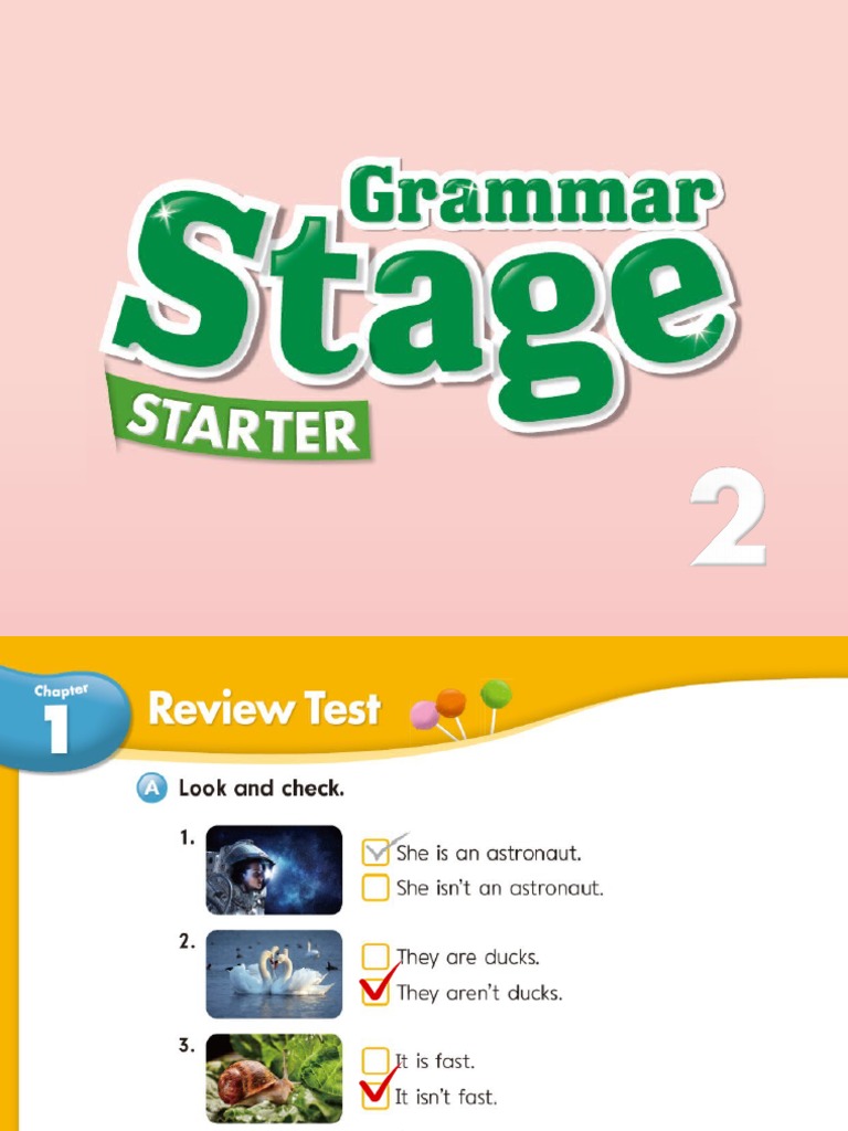 A Collection of Questions and Answers Using Affirmative and Negative ...