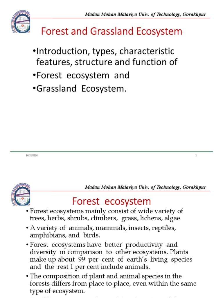 Understanding Forest Ecosystems: Structure, Components, Types and ...
