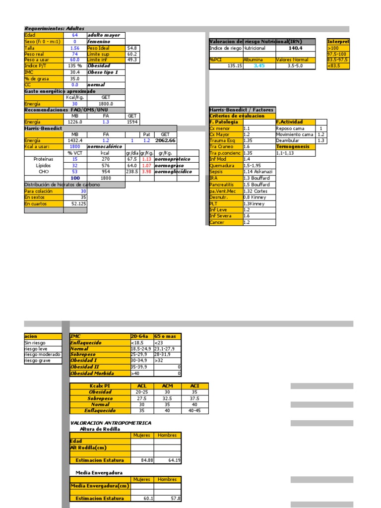 Evaluacion Nutricional CSM - XLSM 2 | PDF | Obesidad | Alimentos