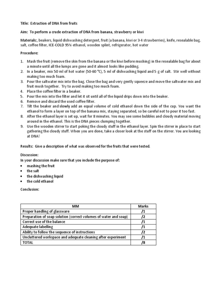 DNA Extraction from Fruits Guide | PDF | Chemistry
