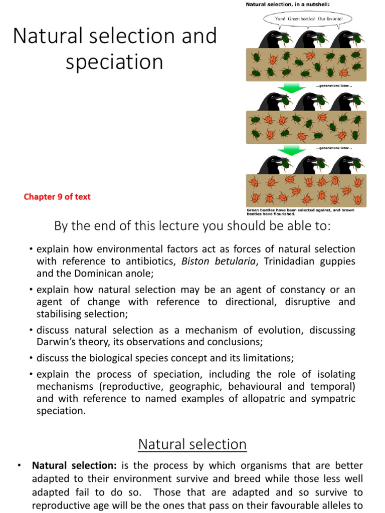 Natural Selection Lecture | PDF | Natural Selection | Evolution