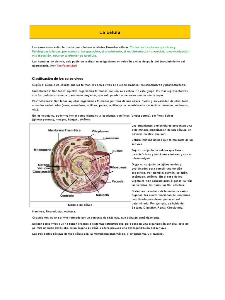 La Célula | PDF | Carbohidratos | Metabolismo La Célula | PDF | Carbohidratos | Metabolismo