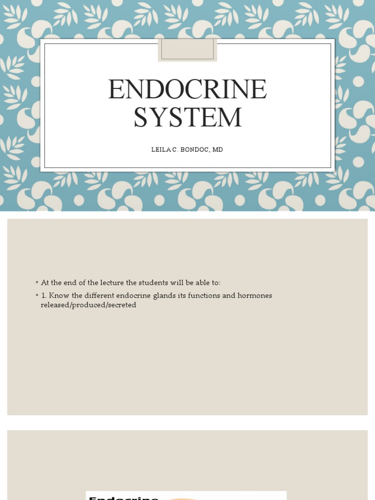 Endocrine System | PDF | Menstrual Cycle | Estrogen
