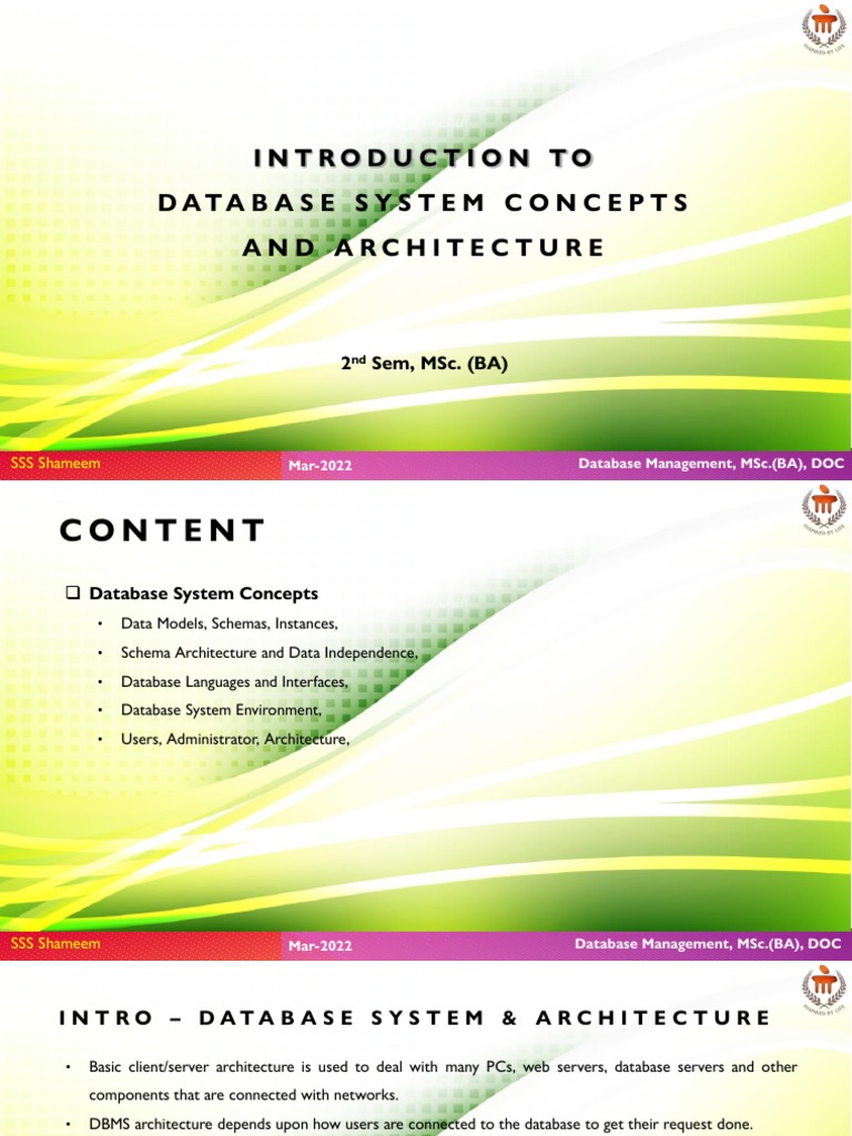 Database System | PDF | Databases | Data Model