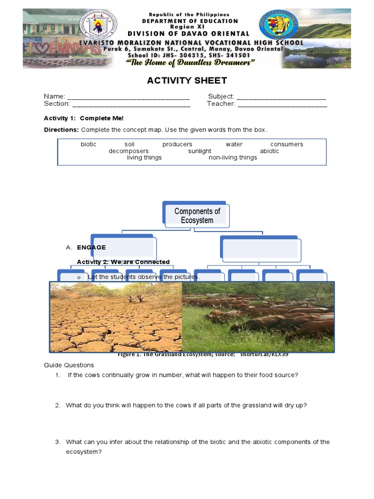 Answer Sheet | PDF | Ecosystem | Soil