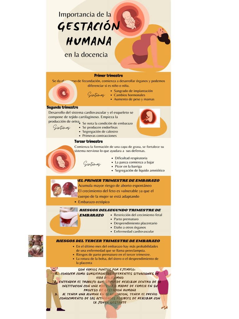 INFOGRAFÍA (1) Tabloide | PDF