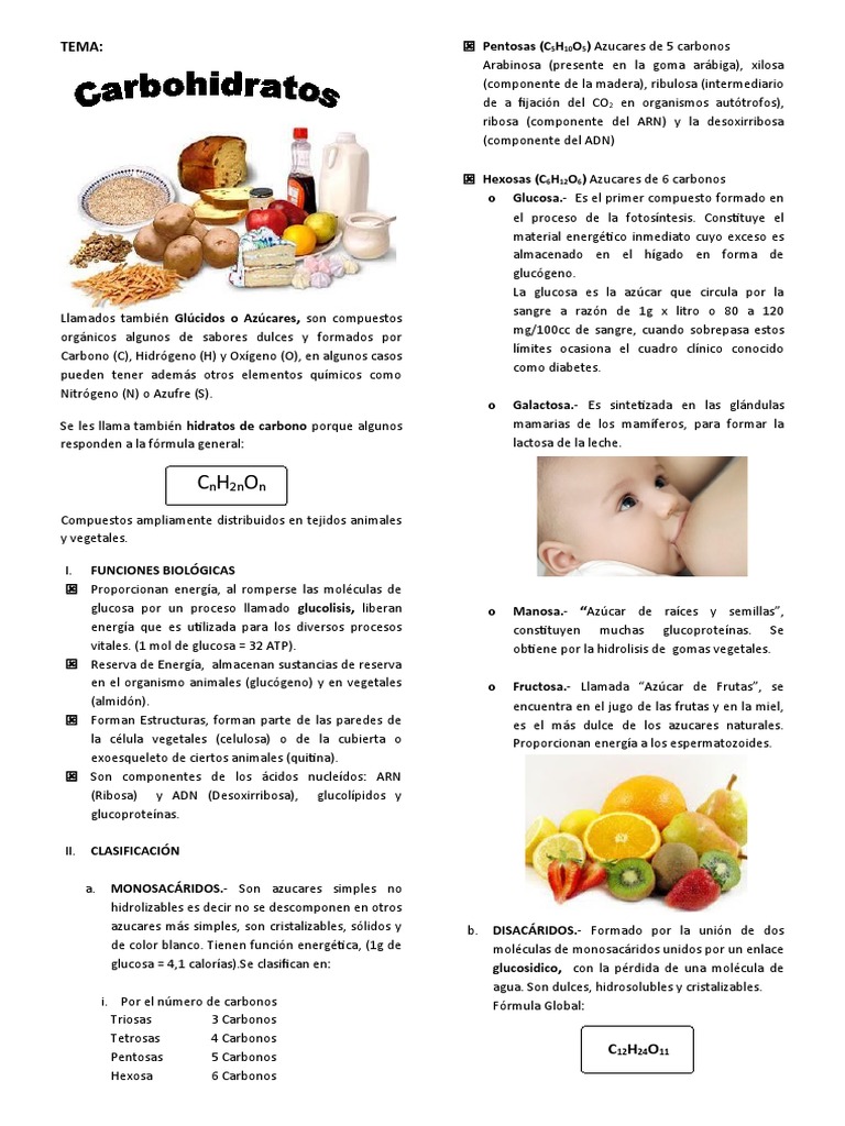 Carbohidratos | PDF | Carbohidratos | Polisacárido