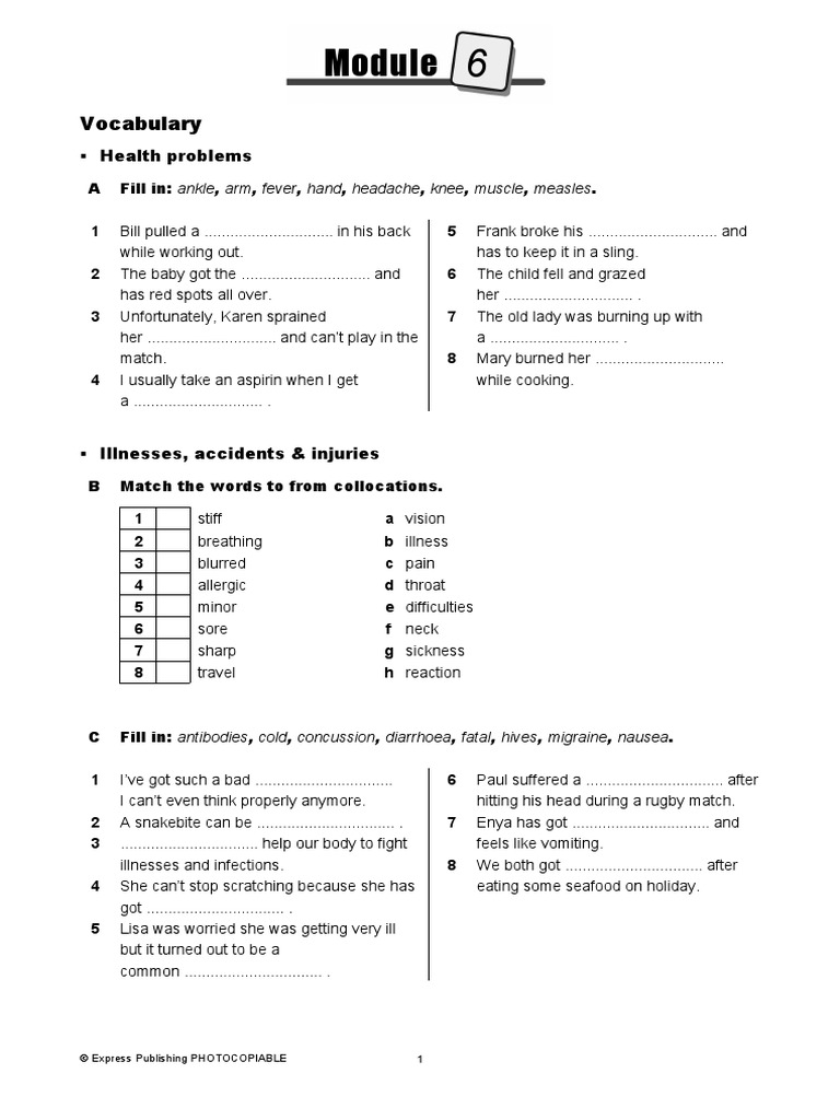 06 OnScreen B2plus Module 6 | PDF | Homeopathy | Medicine
