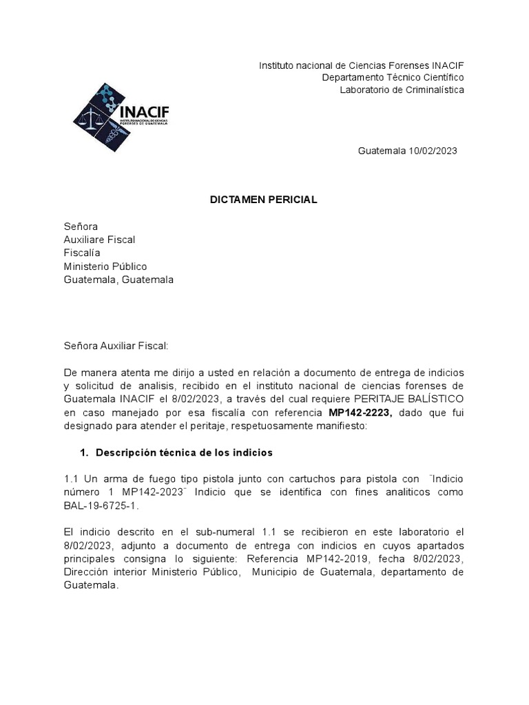 Dictamen Pericial de Balística en Homicidio | PDF | Calibre | Armas de ...