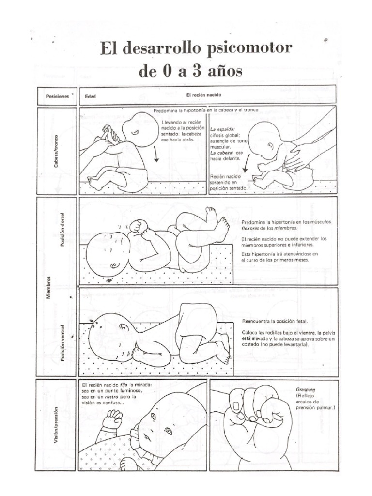 El Desarrollo Psicomotor | PDF