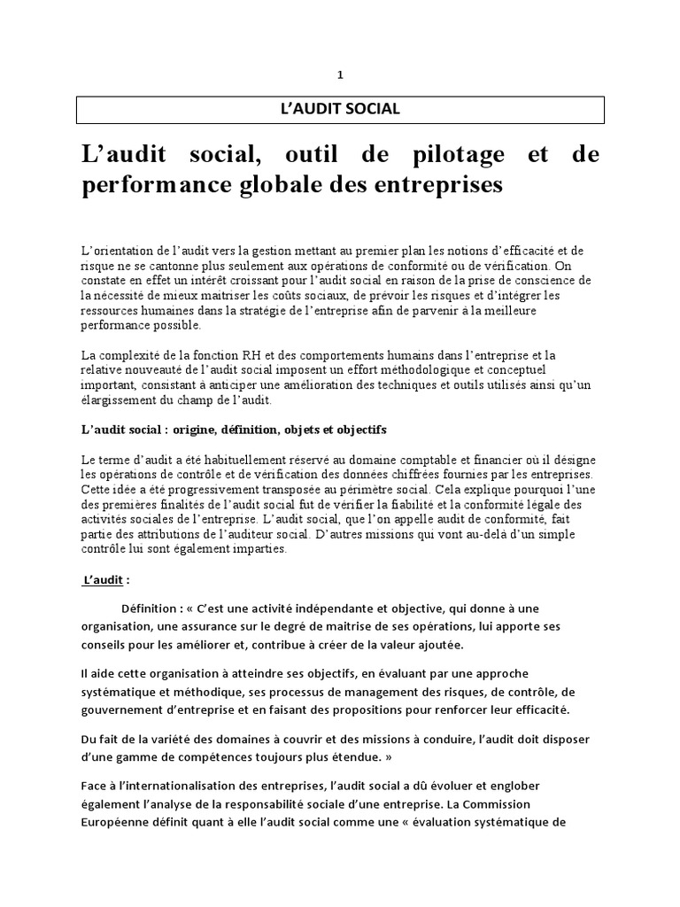 Audit Social | PDF | Audit | Contrôle interne
