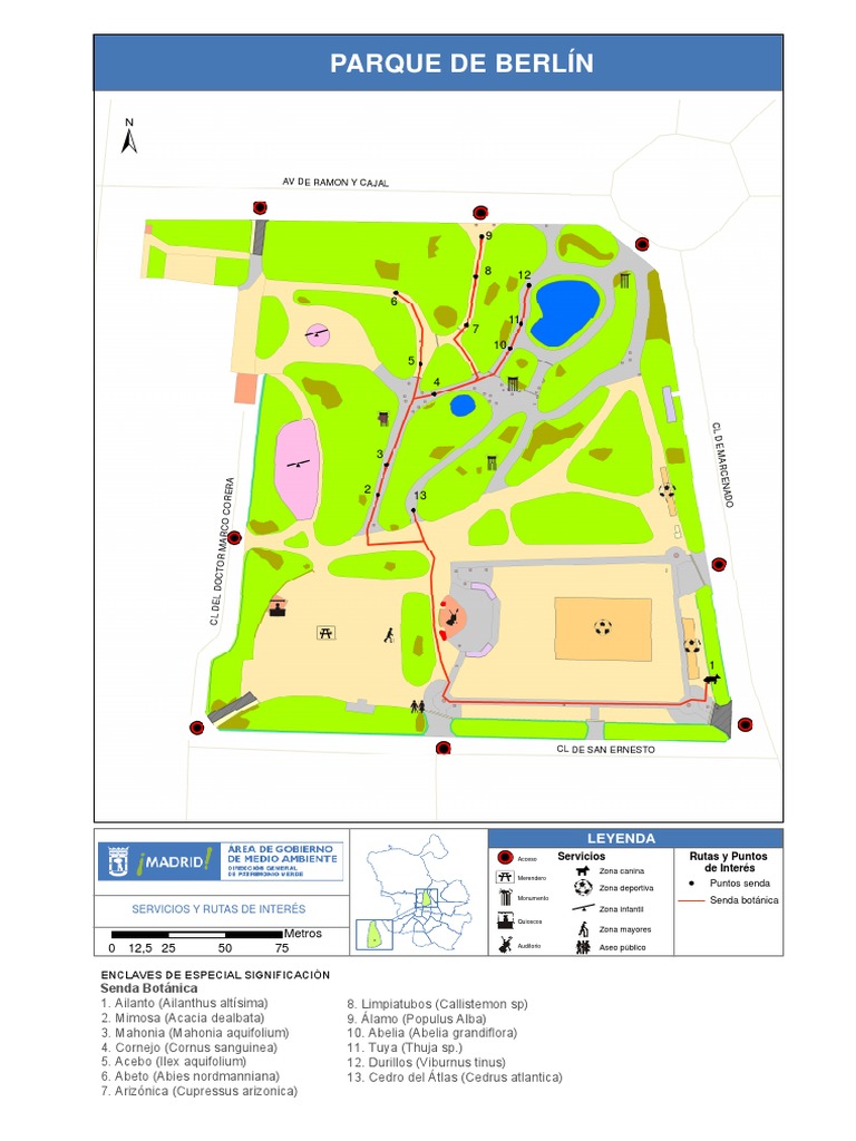 Parque de Berlin (Madrid) | PDF | Botánica | Arboles